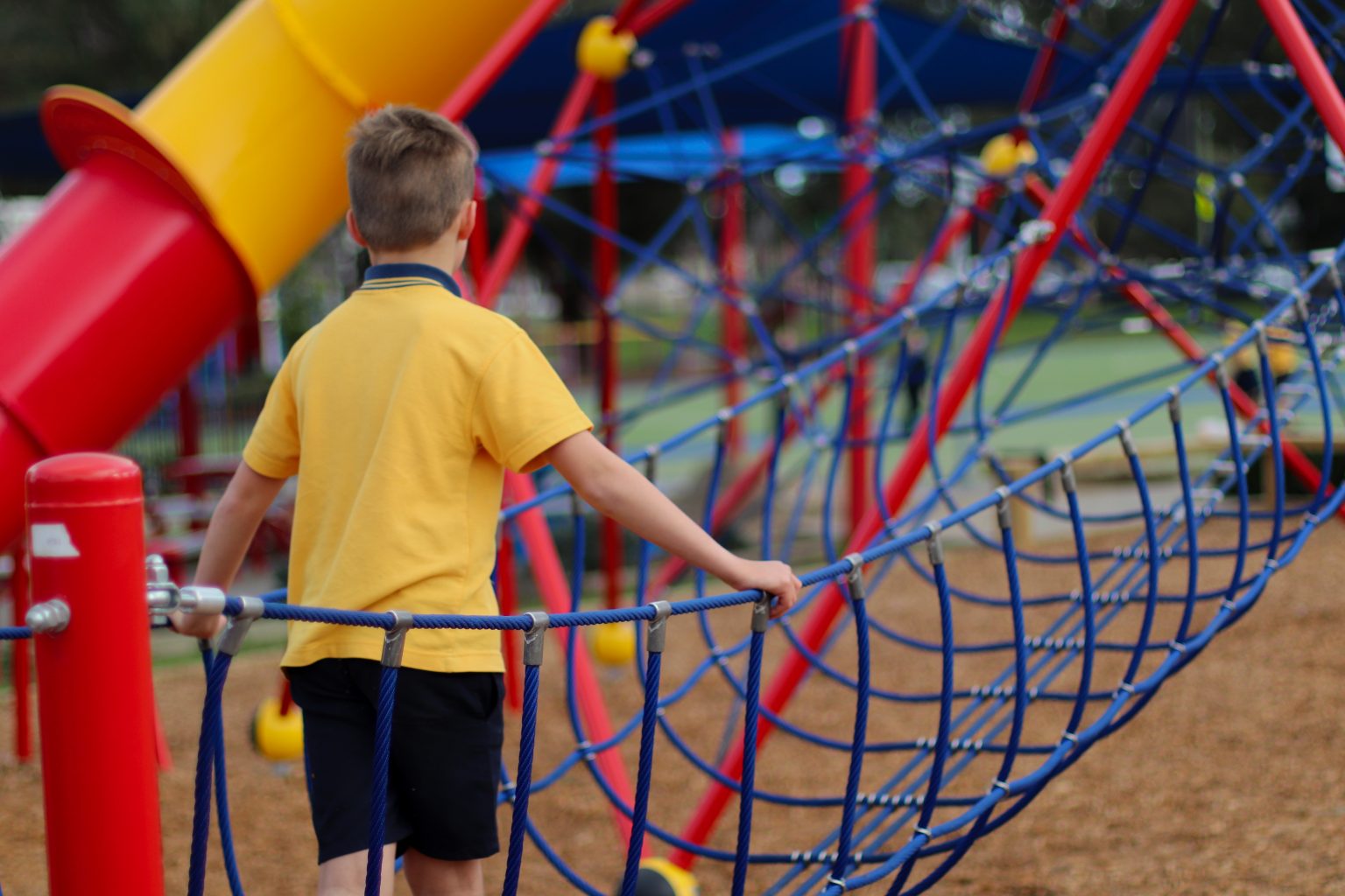 Livingstone Primary School – Linking the community through learning.